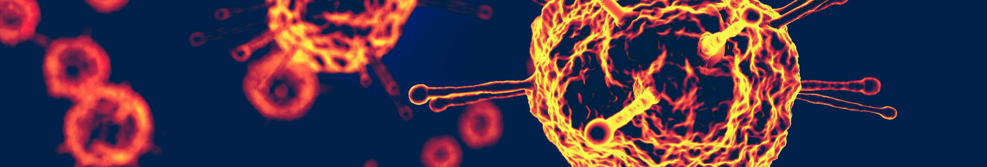 Message from the President - ISAD